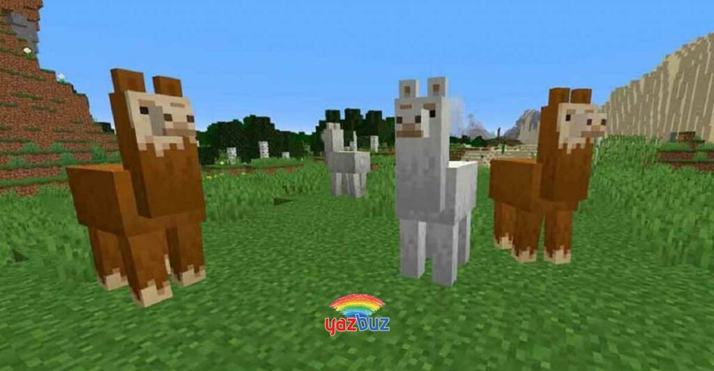 Minecraft Lama Ne Yer? Nasıl Evcilleştirilir ve Sürülür? - Yazbuz.com